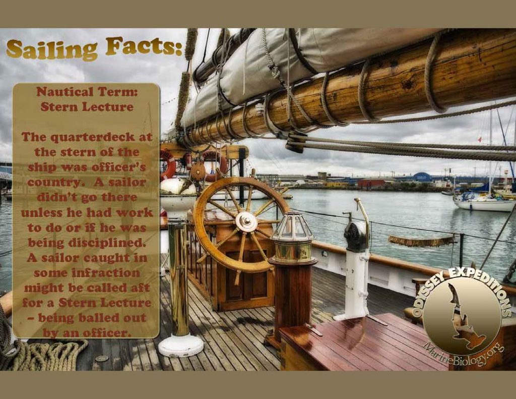 Facts_Stern_Lecture | Marine Biology Learning Center